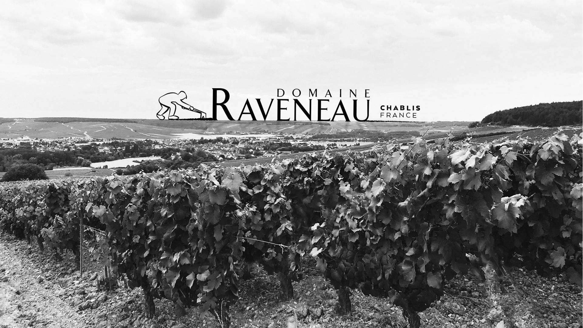 Raveneau Chablis | Domaine Raveneau à Chablis